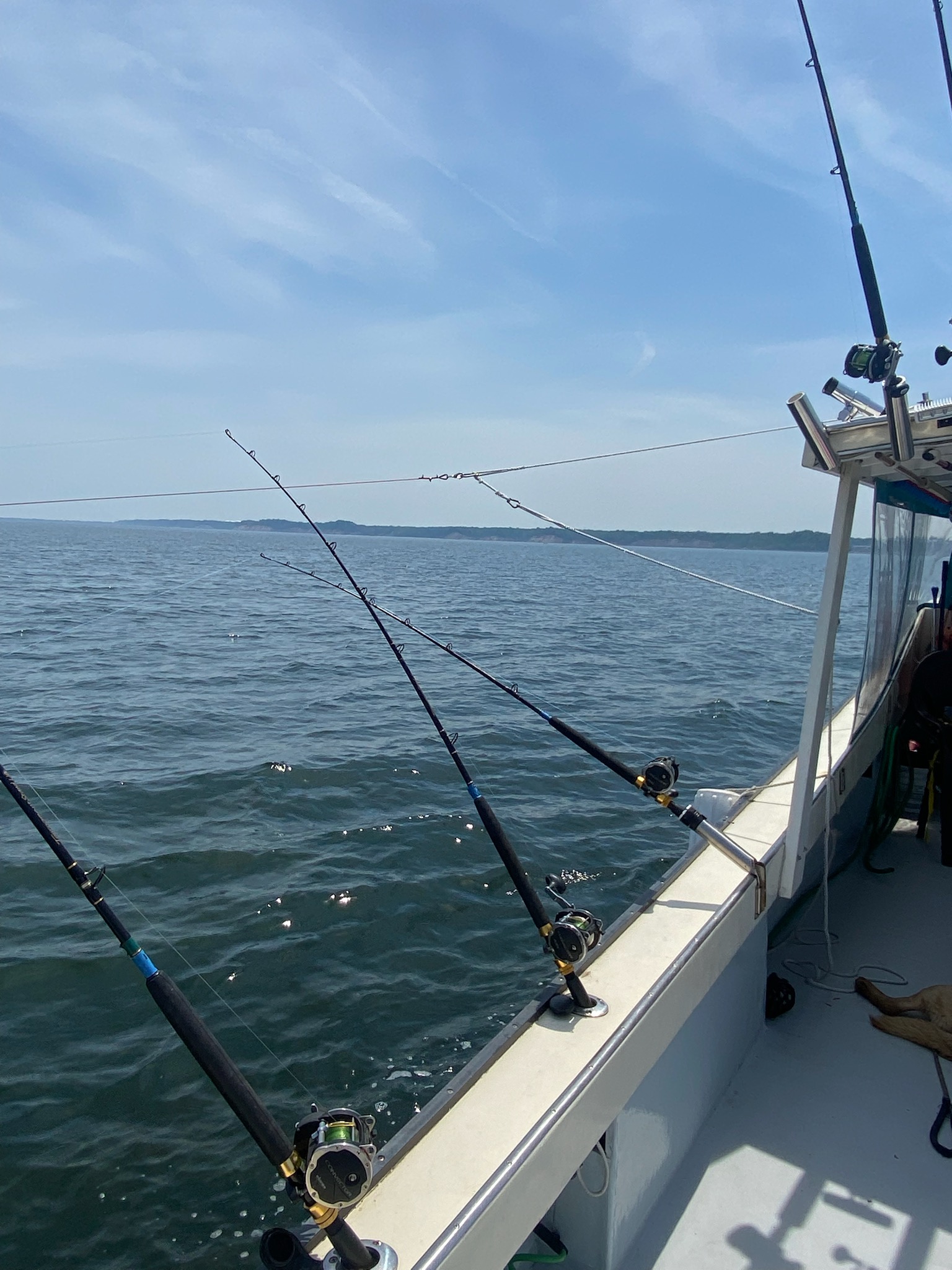 Chessie Outfitters LLC | Chesapeake Bay Hunting & Fishing Parties