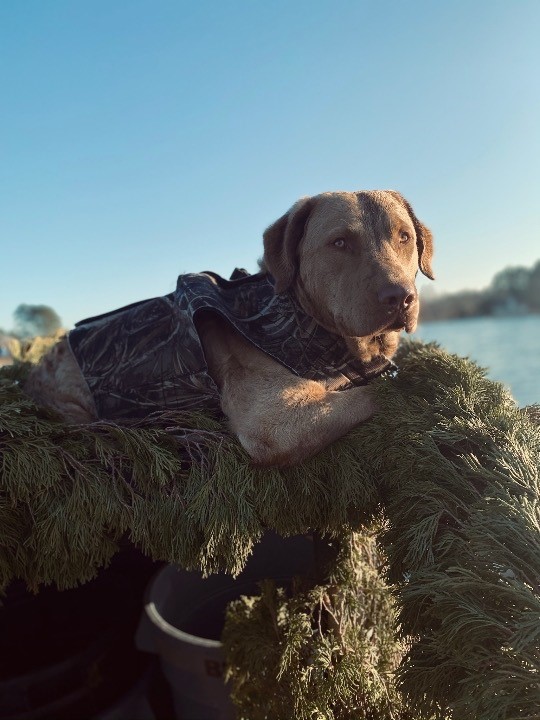 Chessie Outfitters LLC | Chesapeake Bay Hunting & Fishing Parties