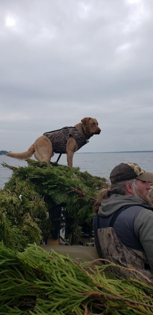 Chessie Outfitters LLC | Chesapeake Bay Hunting & Fishing Parties