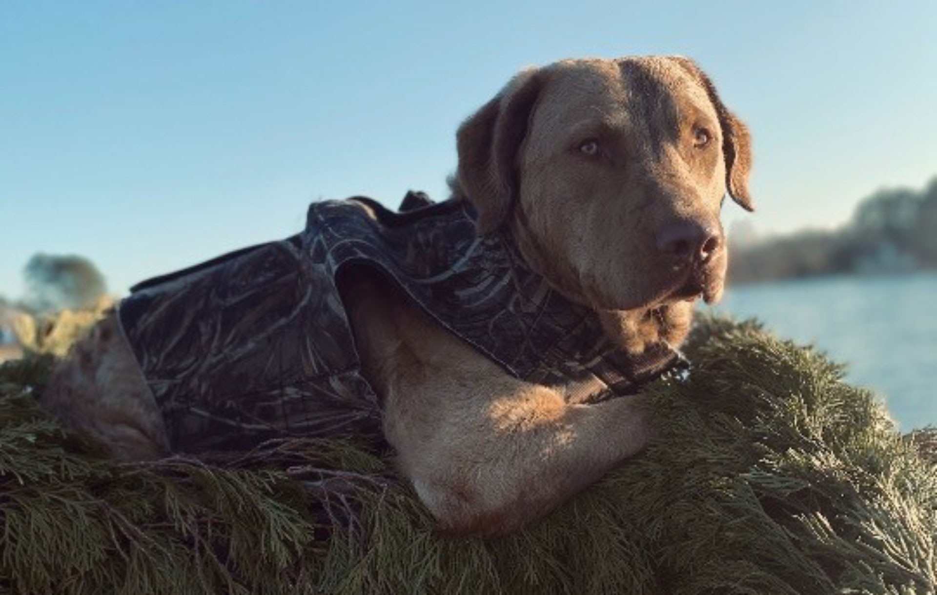 Chessie Outfitters LLC | Chesapeake Bay Hunting & Fishing Parties